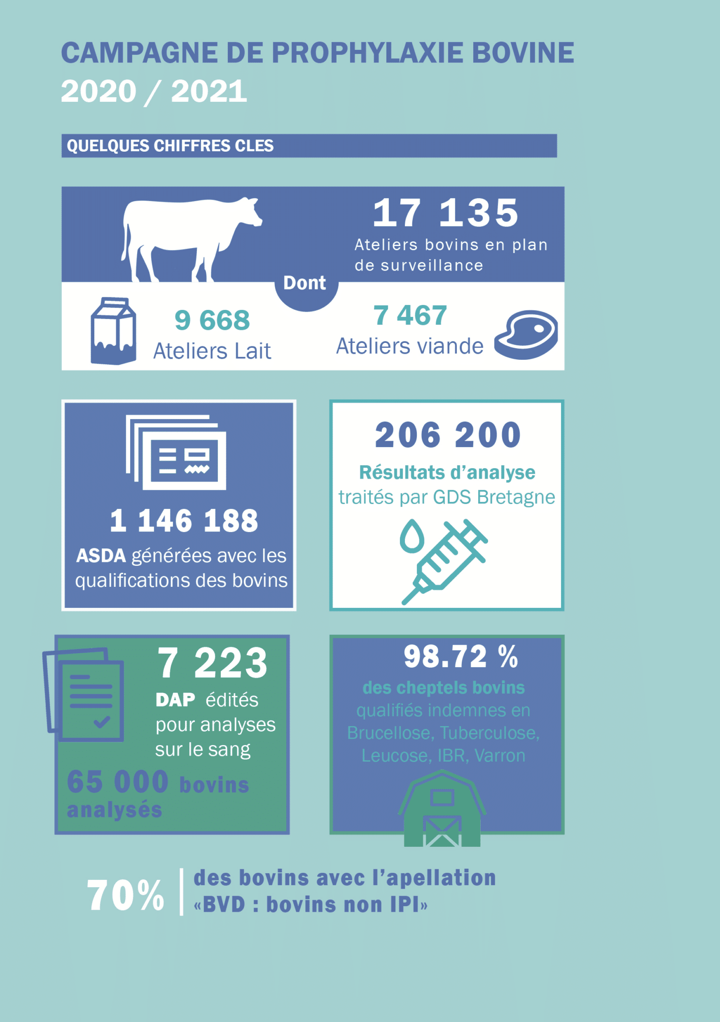 Le suivi de la prophylaxie des élevages bovins | GDS Bretagne