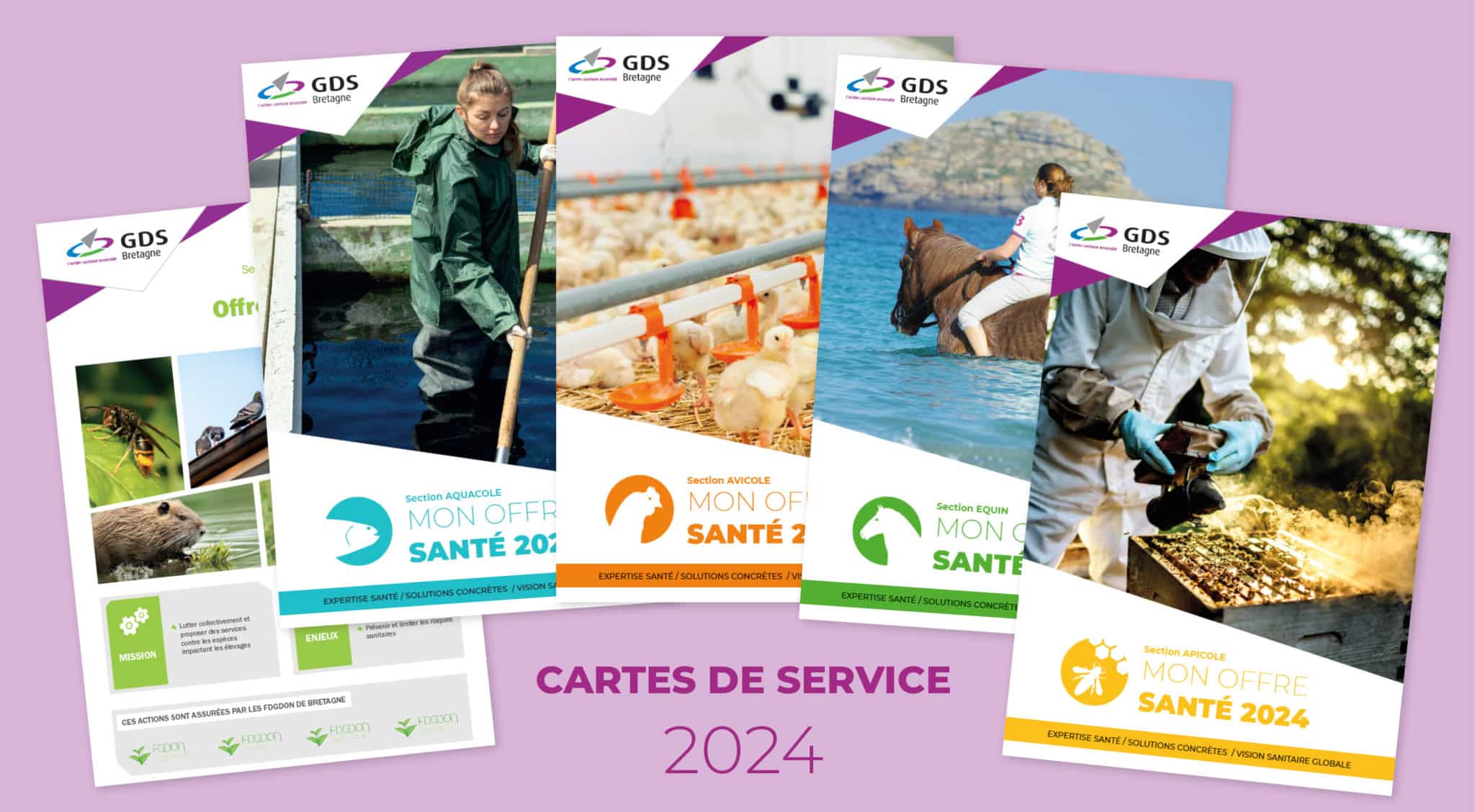 Suivi santé : toutes les cartes de service et les accompagnements ...